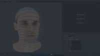 Wrap4D – Faceform