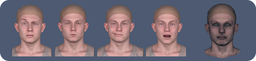 Wrap Extra Galleries – Faceform